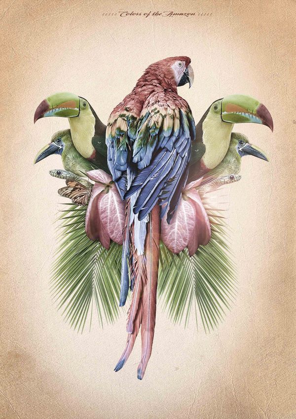 Featured Artist: Alexis Persani | PSDFan